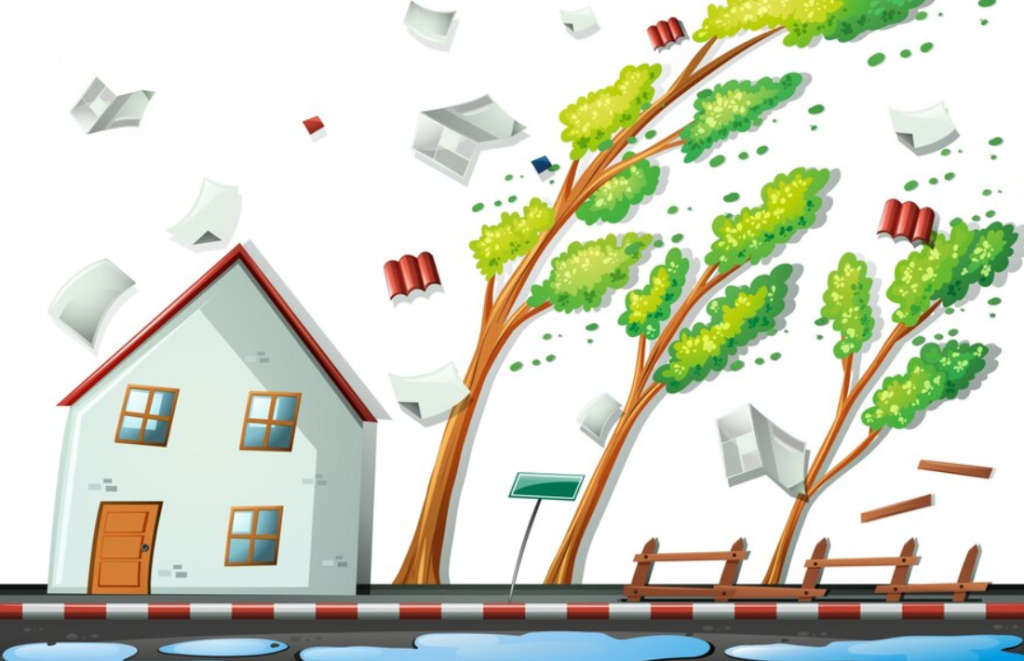 wind damage insurance claim florida