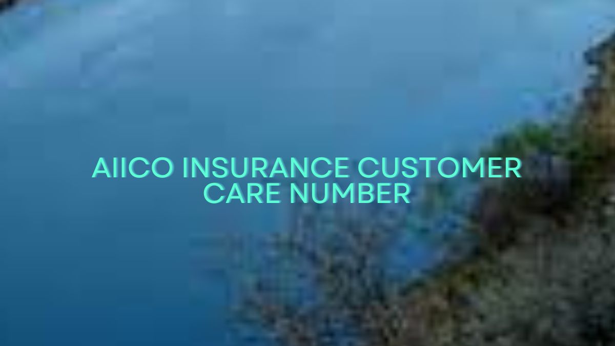 OLInsure || Online Insure our rates and services are tough to beat